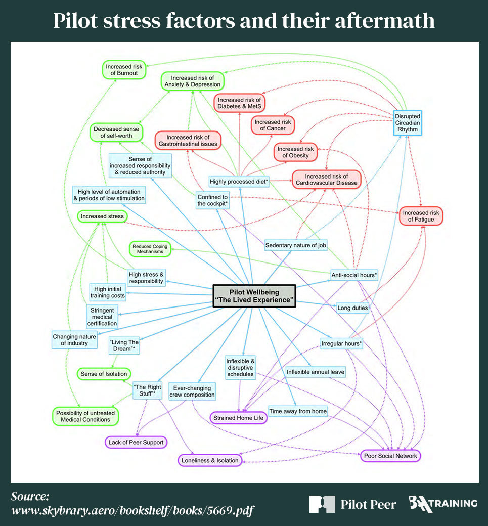 The rationale behind Pilot Peer Support Program - Pilot Peer